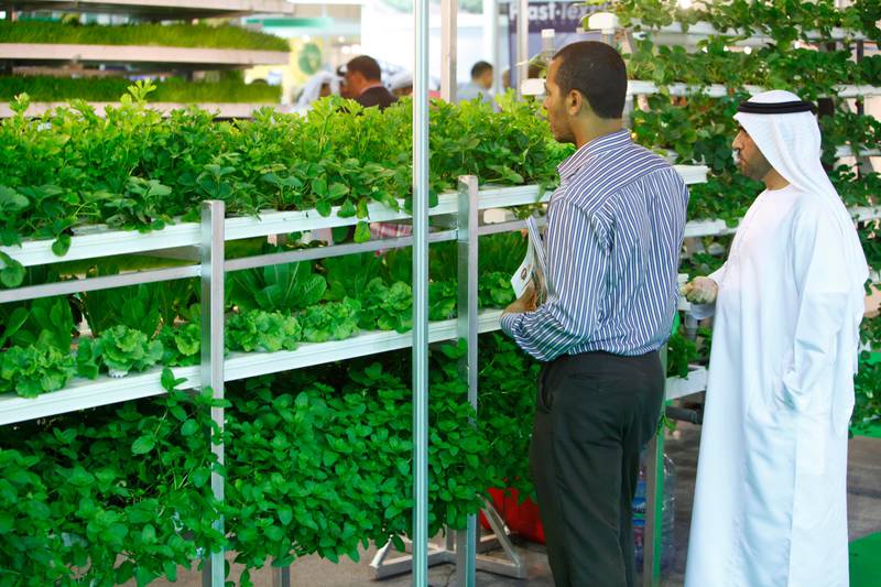UAE unveils strategy to boost local food production and consumption ...