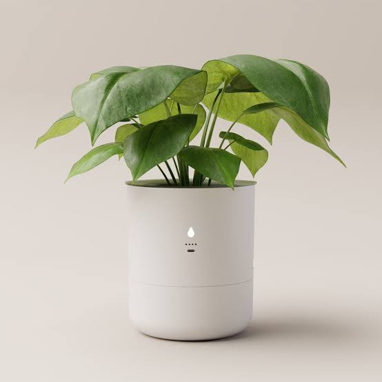 LeafyPod Debuts AI-Powered Self-Watering Smart Planter at CES 2025 ...